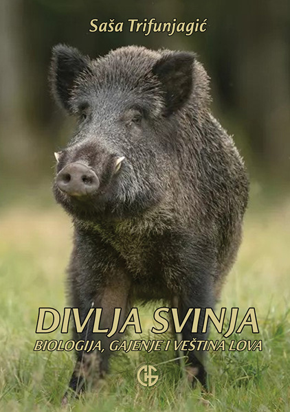 DIVLJA SVINJA - Saša Trifunjagić | MAMUT