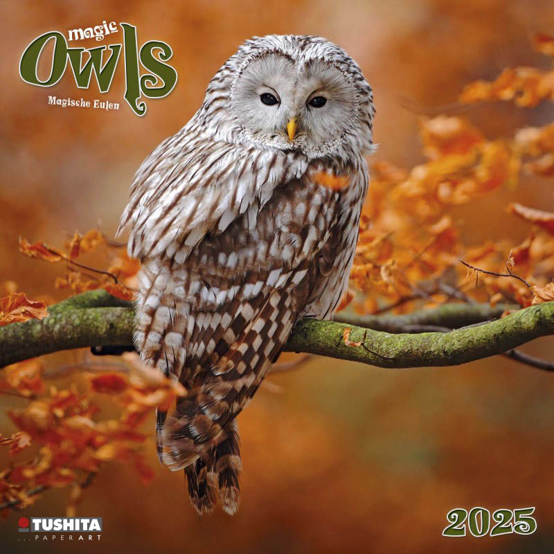 Zidni kalendar MAGIC OWLS 2025 - | MAMUT