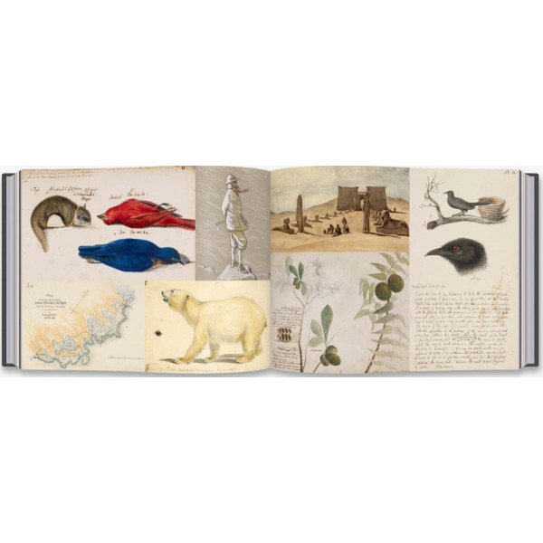Explorers Sketchbooks: The Art of Discovery & Adventure - Huw Lewis ...