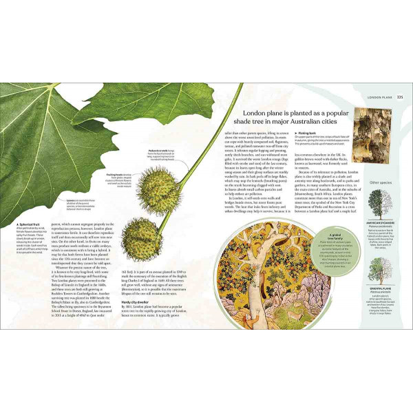 THE TREE BOOK - DK | MAMUT